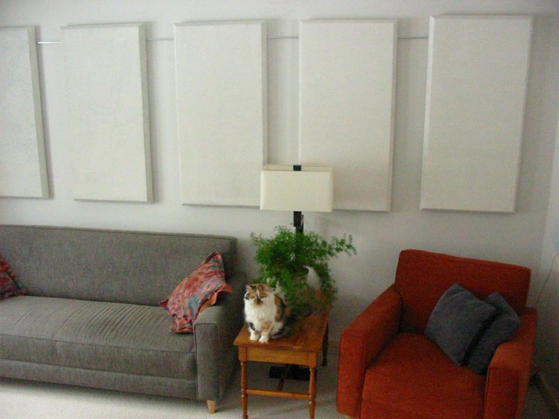 Steve Seidel - Acoustical Surfaces