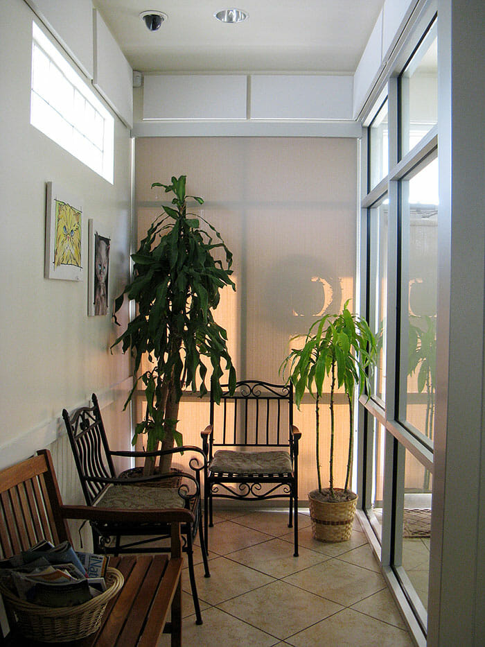 Vet Clinic | Acoustical Surfaces