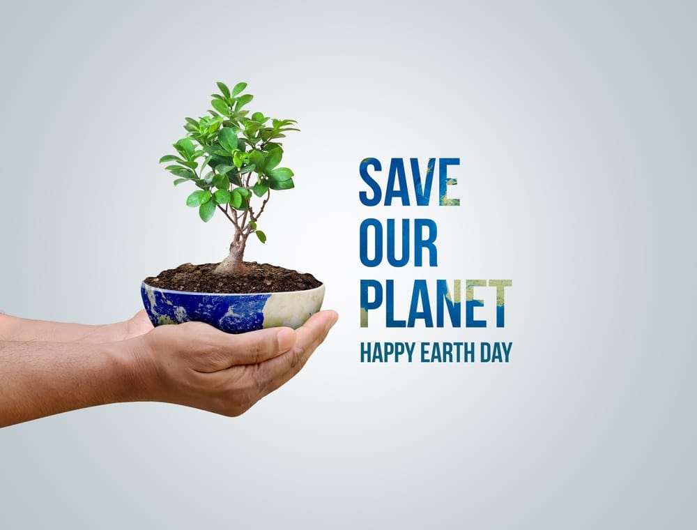 Celebrate Earth Day 2025 with Natural Sound Absorbing Materials